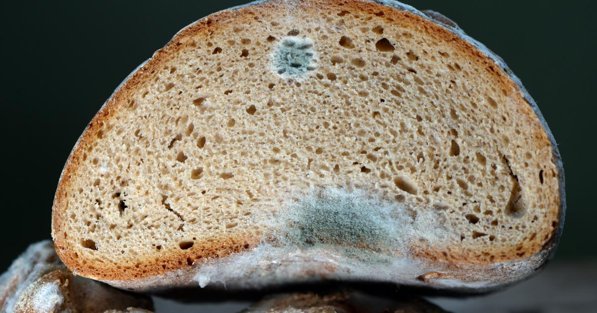 Schimmel am Brot abschneiden reicht nur selten